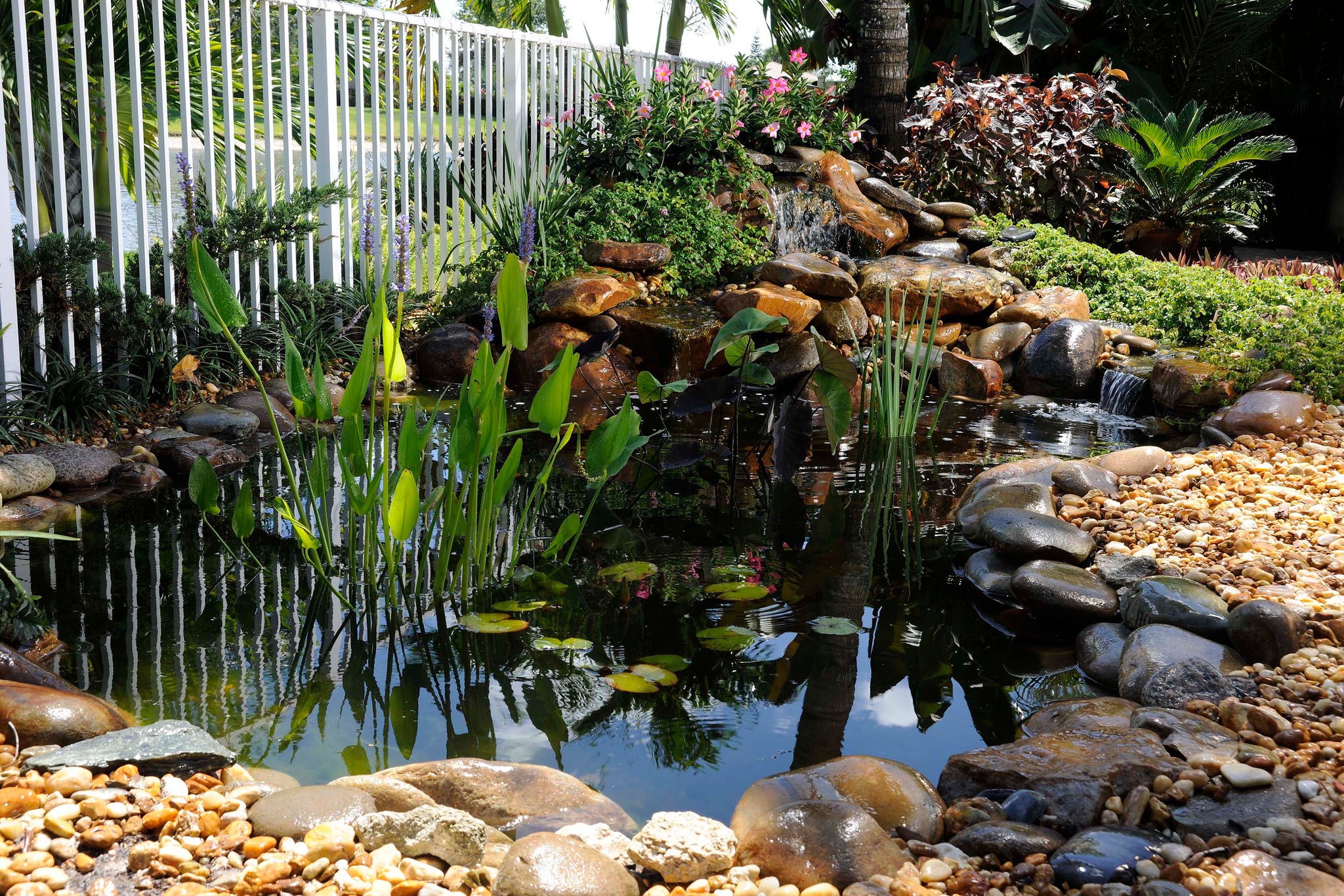 How to Size Your Pond