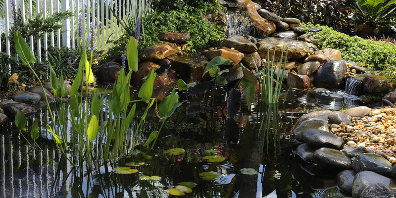 pond boss