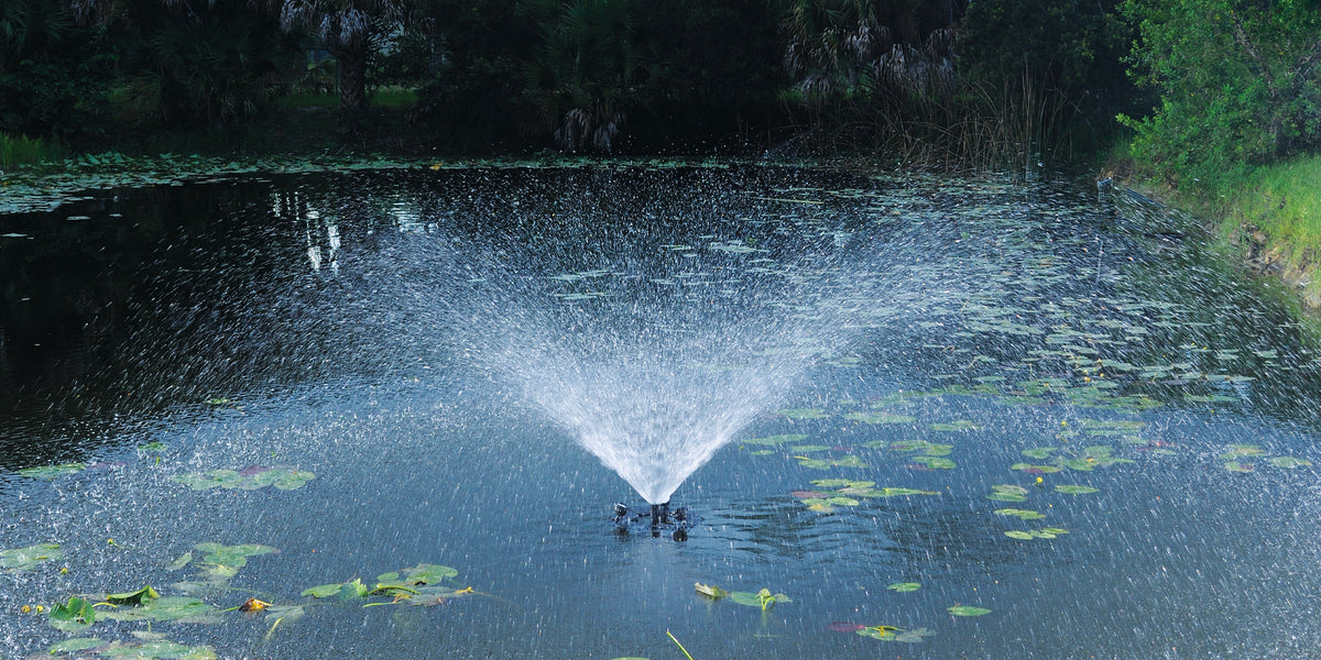 pond boss