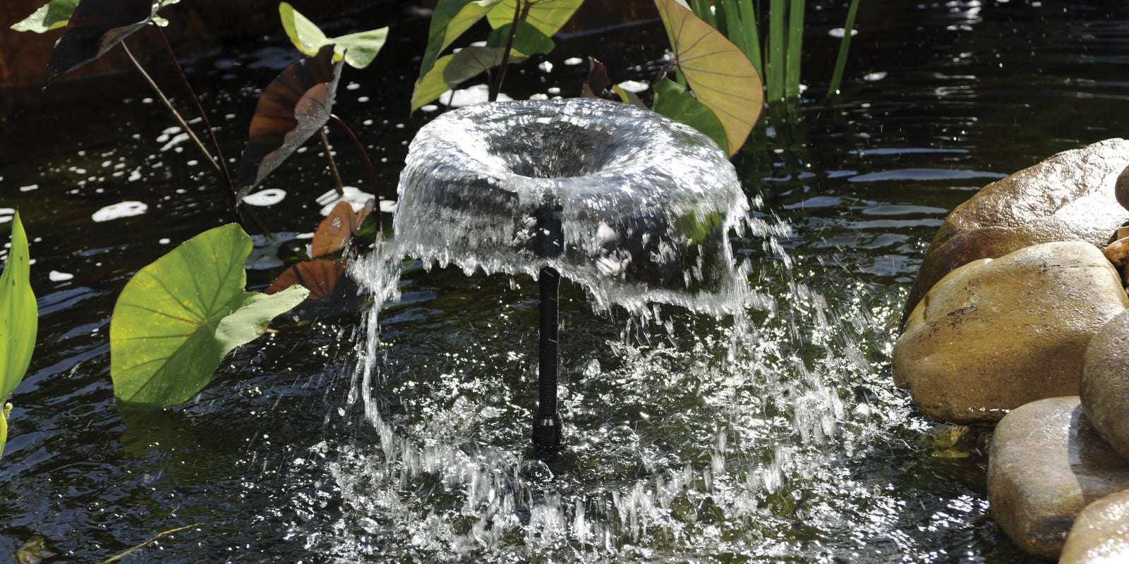 pond boss